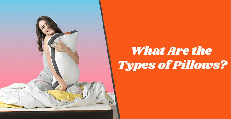 What Are the Types of Pillows | Your Guide to Different Types of ...
