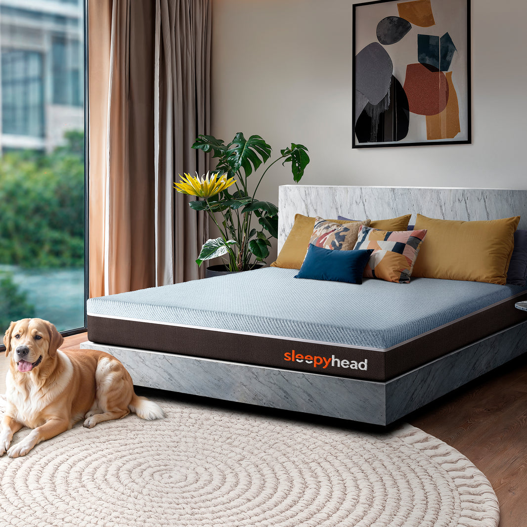 Buy Mattress Online Starting ₹3,399 & Get Up to 50% Off