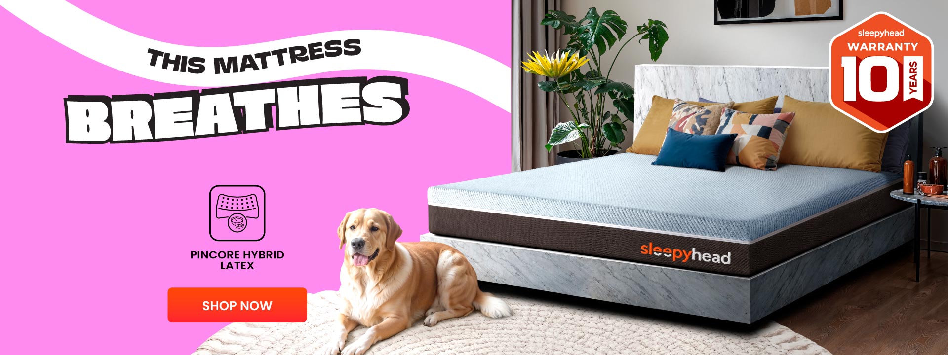 Buy Sleepyhead Mattresses, Sofas, Recliners, Beds, and Furniture